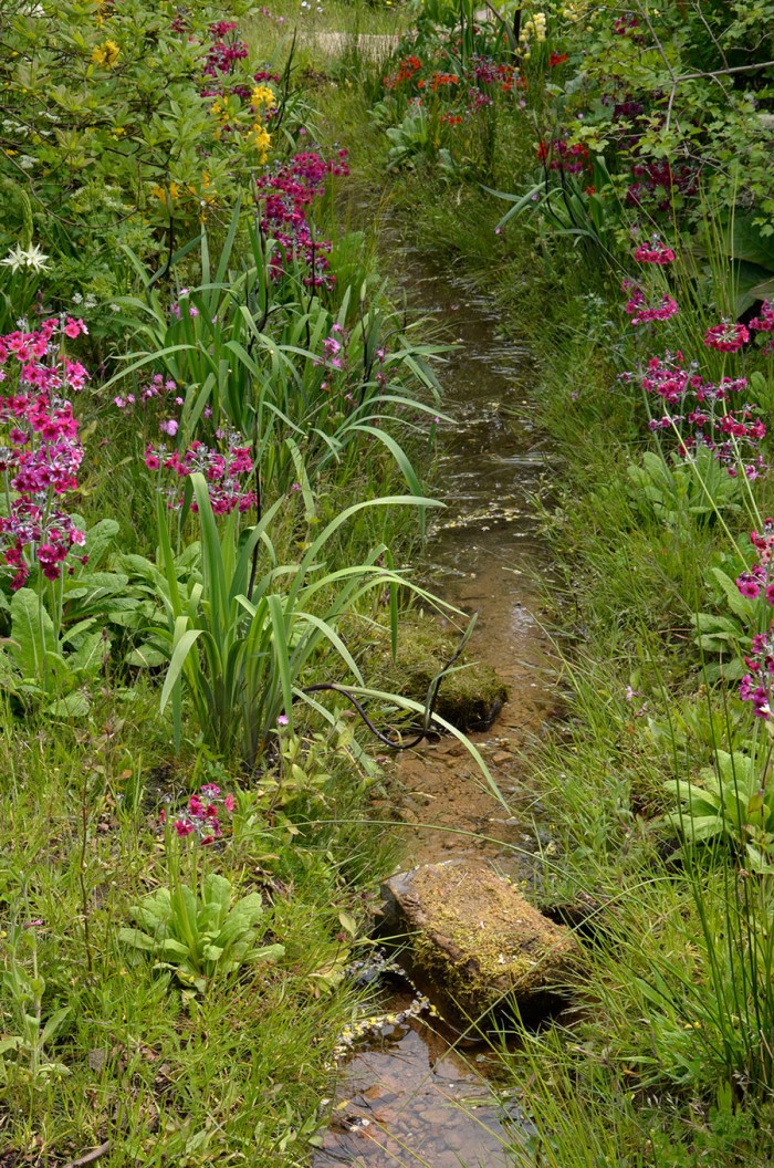 300 ton sten och naturlig plantering = Best in Show 2015 | Rabarber